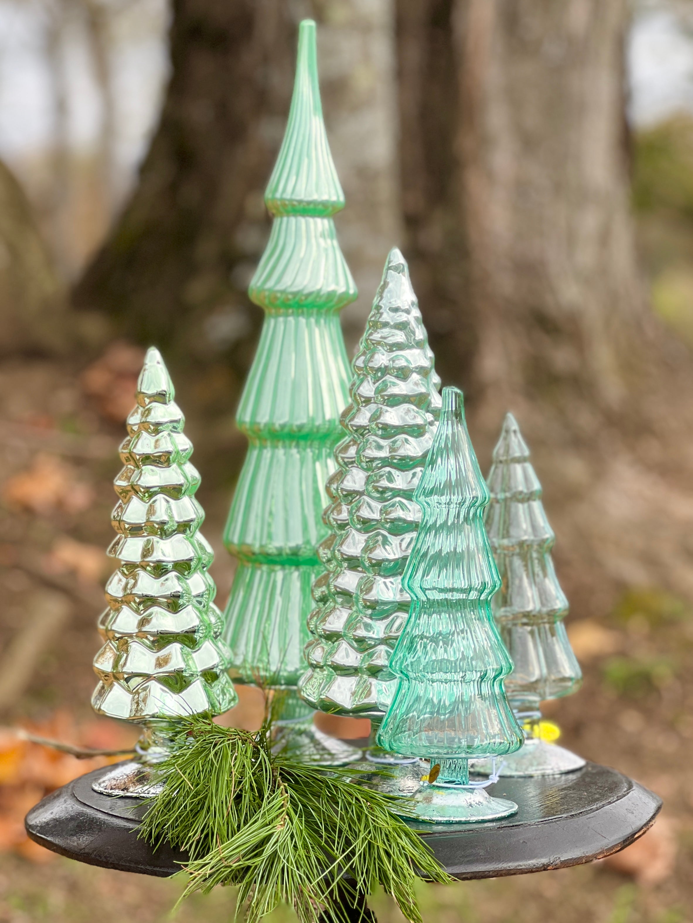 Hue Trees in Winter Green Set of 5 Large – DOVECOTE | Artistry at Home